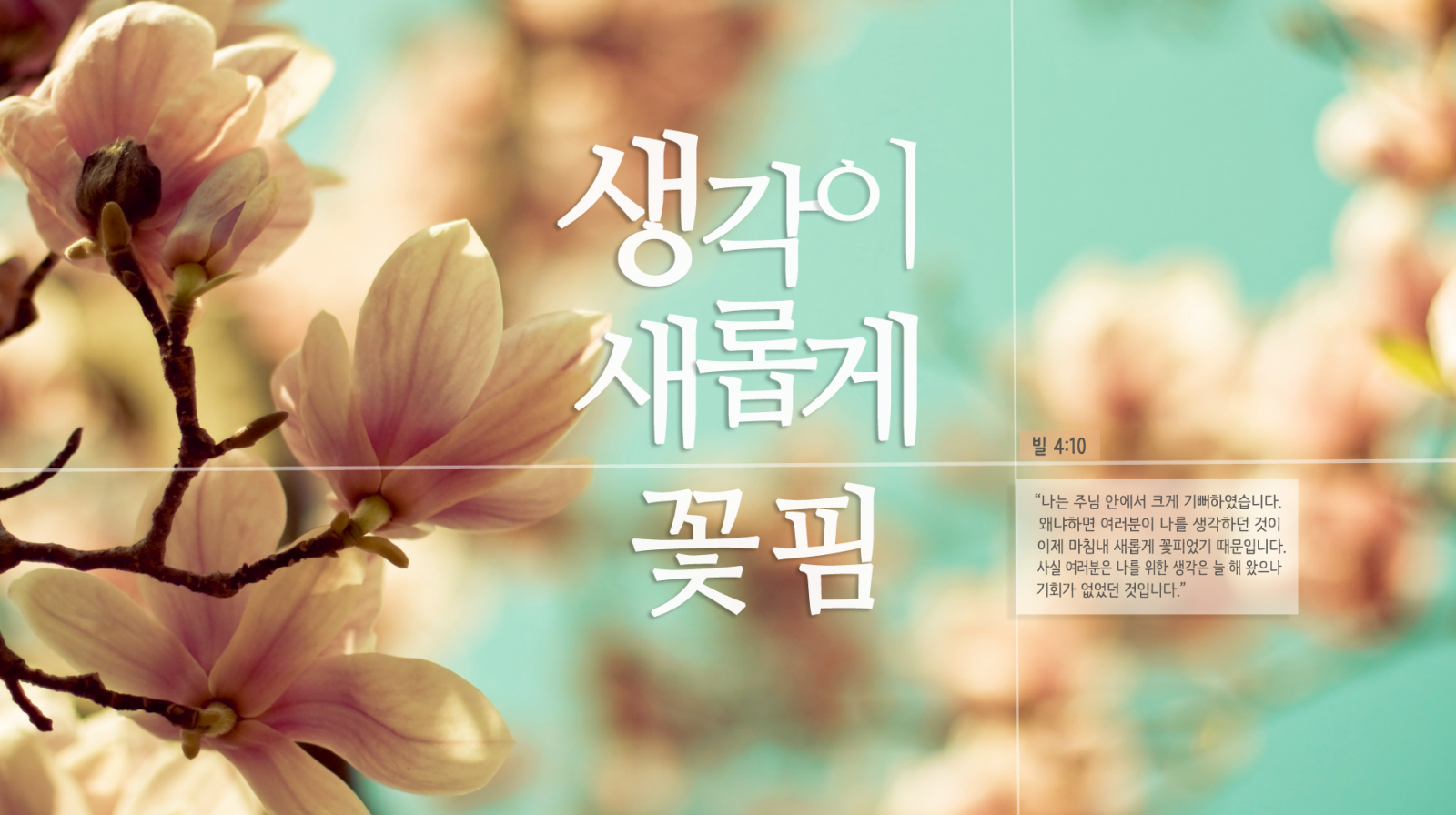 성경진리사역원(BTMK) | 생각이 새롭게 꽃핌